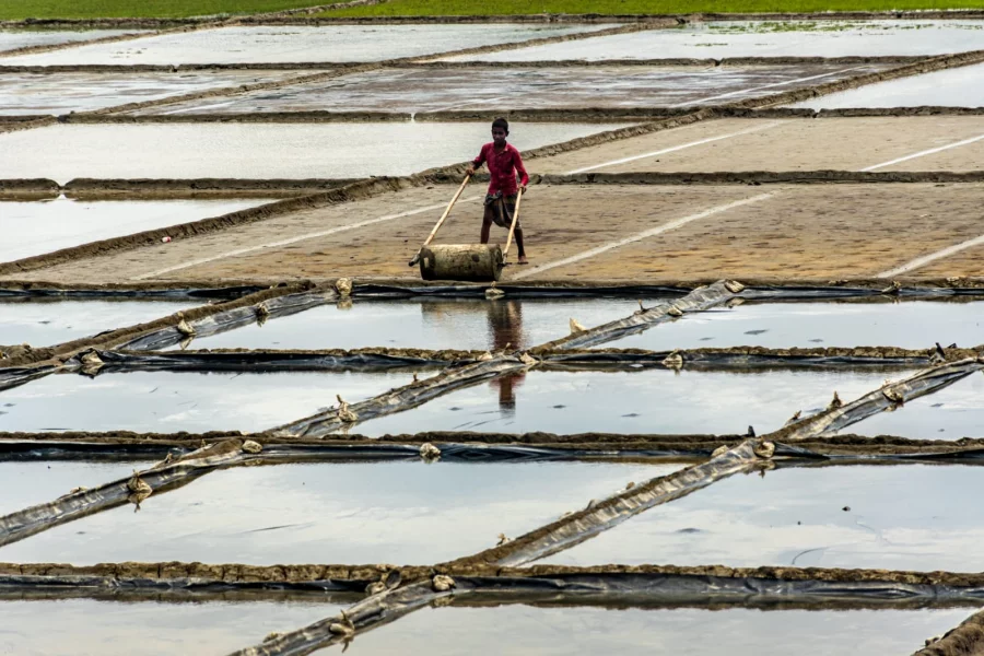 Highest salt production in Bangladesh in 62 years