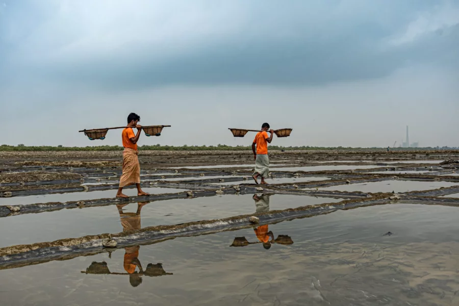 Highest salt production in Bangladesh in 62 years