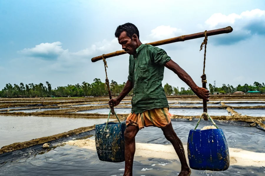 Highest salt production in Bangladesh in 62 years