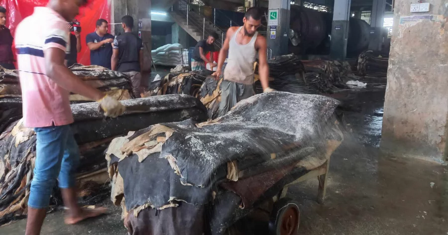 Rawhide collection underway: Tannery owners face pollution, price ...